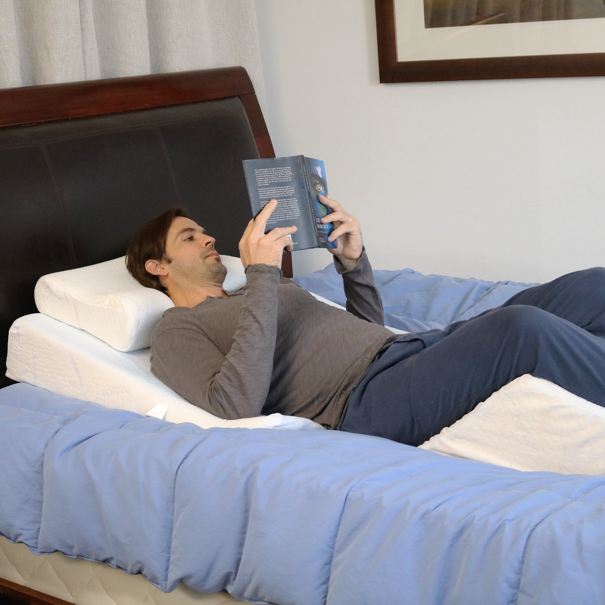 Back Support Systems – Formulai